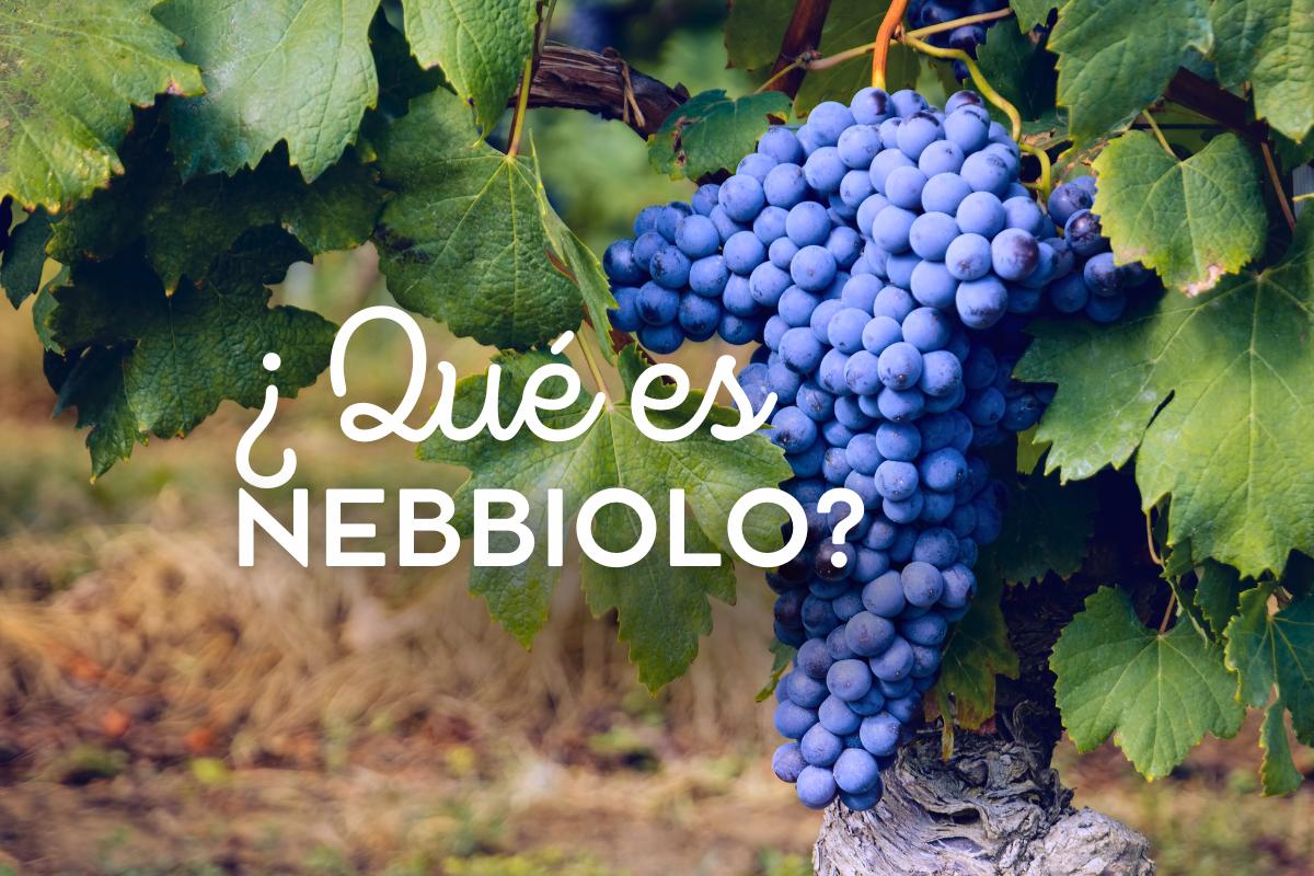 Nebbiolo. La Reina de las Cepas Italianas - ChezCarlita